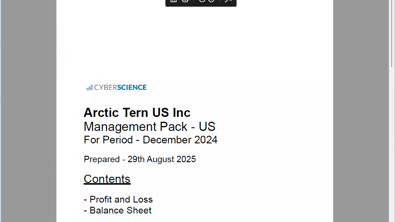 financial report writer | Cyberscience