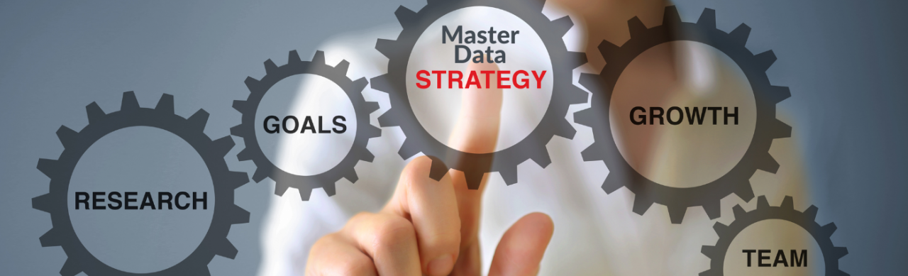 Master Data Strategy – The Foundation of Master Data Management ...